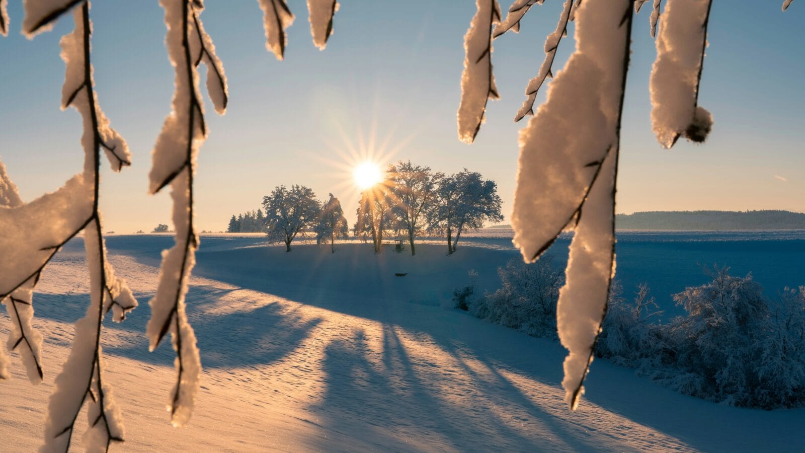 2026 Brings In A Year Of Growth, Vulnerability And Discipline ...